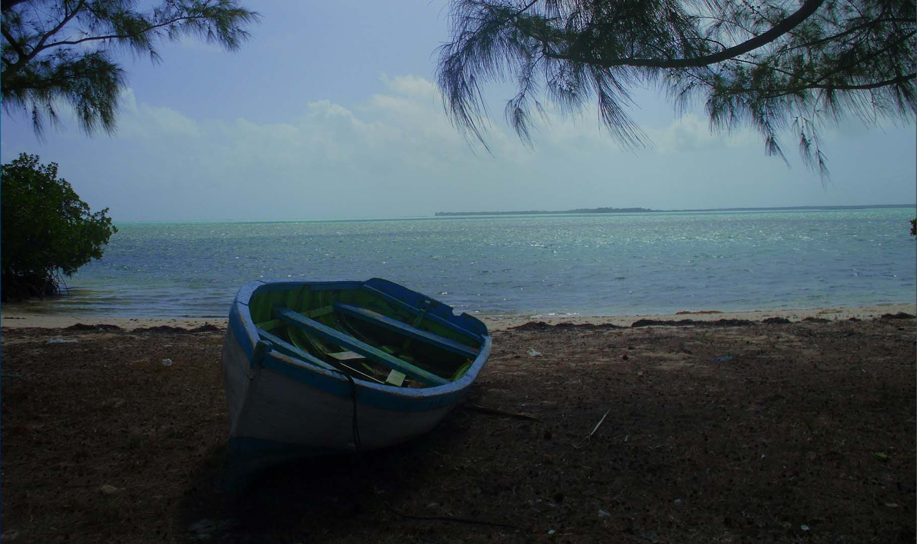 Donations - Small Hope Bay Foundation