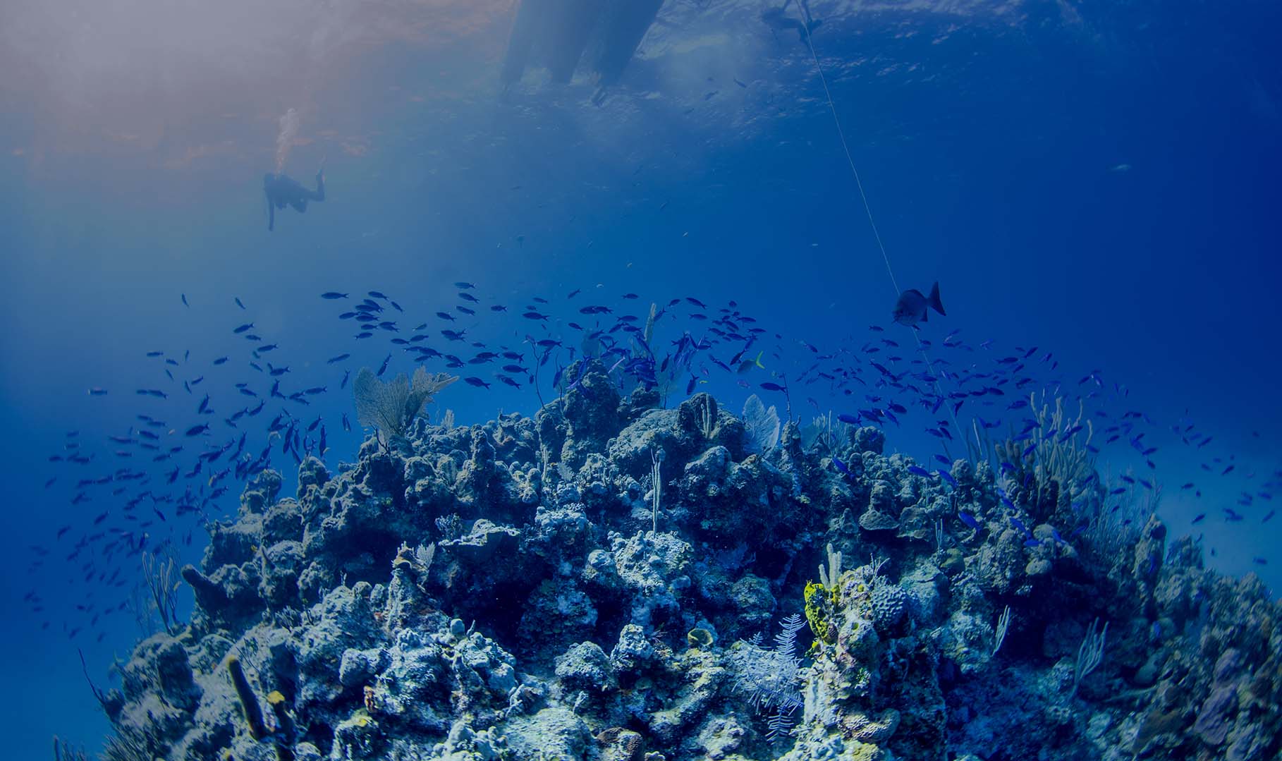 Our Mission | Small Hope Bay Foundation