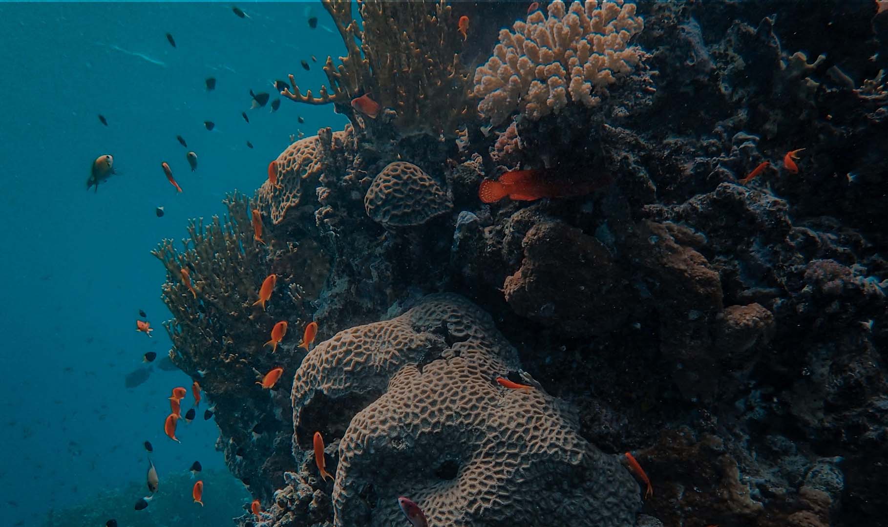 Small Hope Bay Foundation | Join Us in Making a Difference